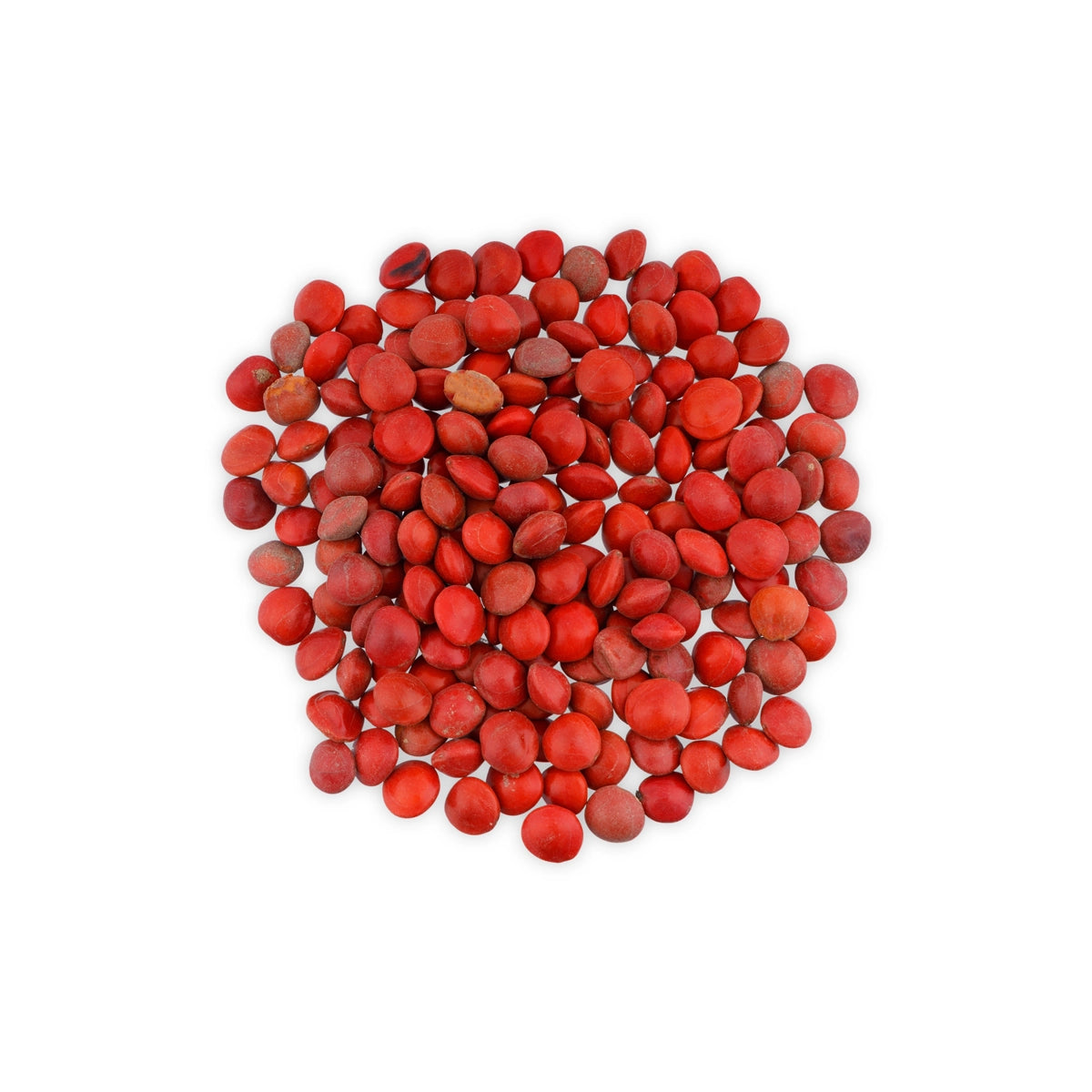 Manjadi Seeds - 50 Gms | Red Lucky Seeds/ Manchadi Seed