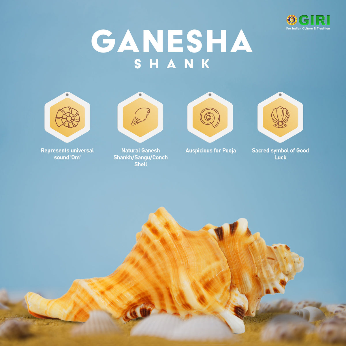 Giri - Ganesh Shank | Ganesh Mukhi Shankh | Ganesh Conch