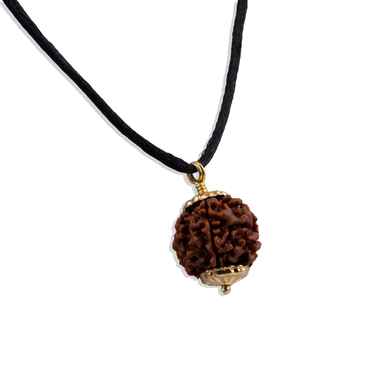 Giri - 6 Mukhi Rudraksha | Rudraksha Pendant | 6 muga ruthratcham ...