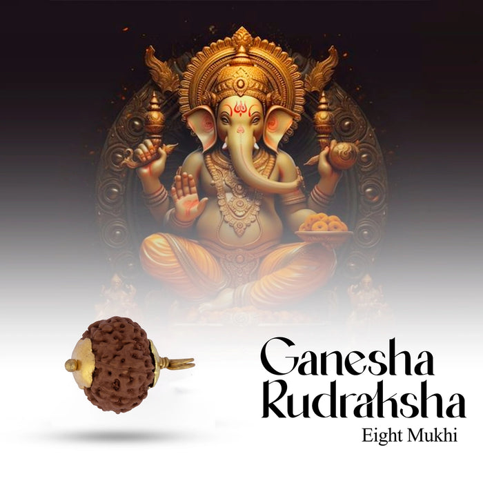 8 Face Rudraksha Pendant | Golden Cup Rudraksha Pendant/ Java Rudraksh ...