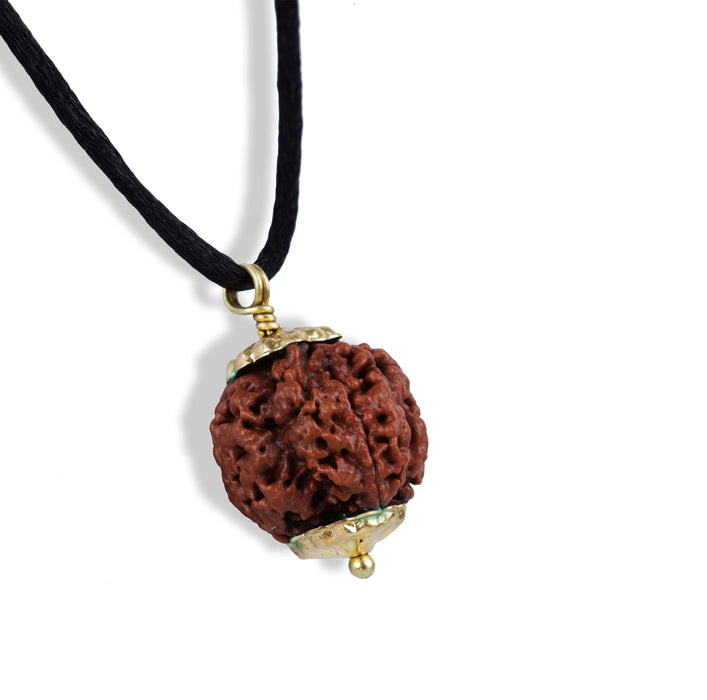 4 Mukhi Rudraksha | Nepali Rudraksha/ Golden Cup 4 Face Rudraksha/ Fou ...