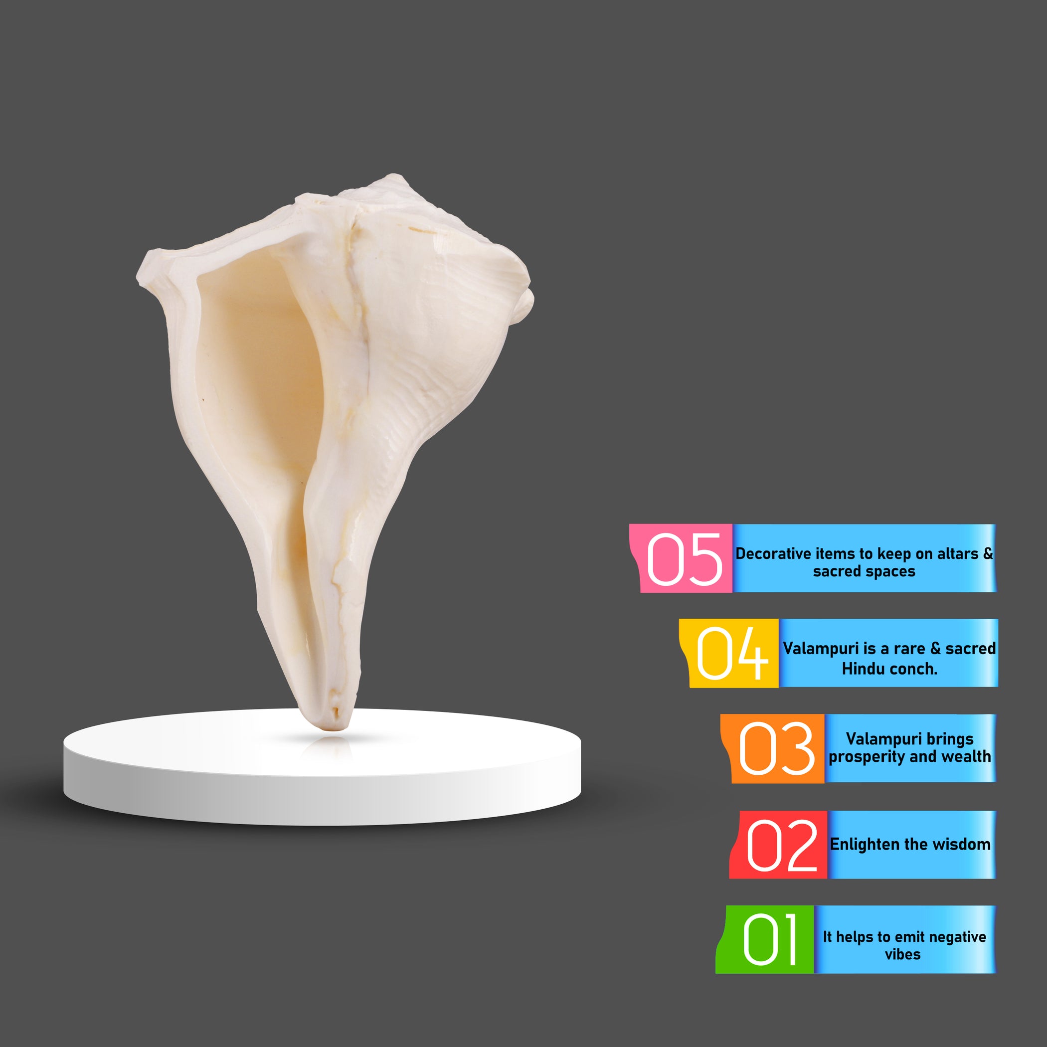 Giri - Blowing Shankh | Right Hand Shankh | Sangu