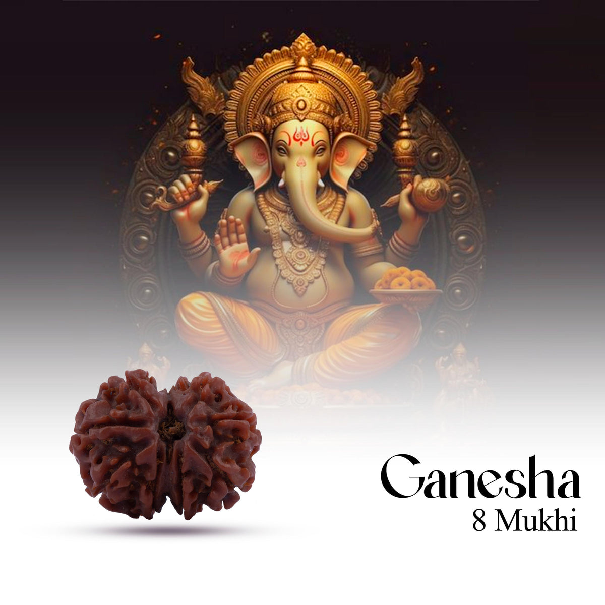 Giri - Original Rudraksha | Ruthratcham | Rudraksham