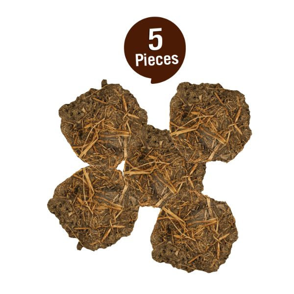 Buy Pasu Varaty Online l giri.in